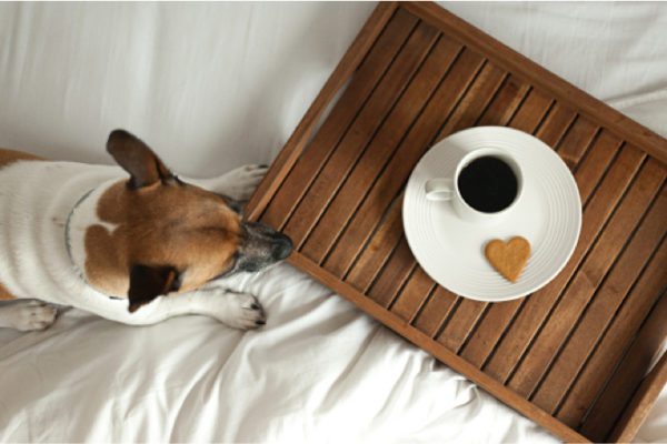 Extended Stay Hotel in Lebanon-Nashville, TN - stayAPT Suites